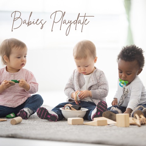 Home - The Hungry Mind